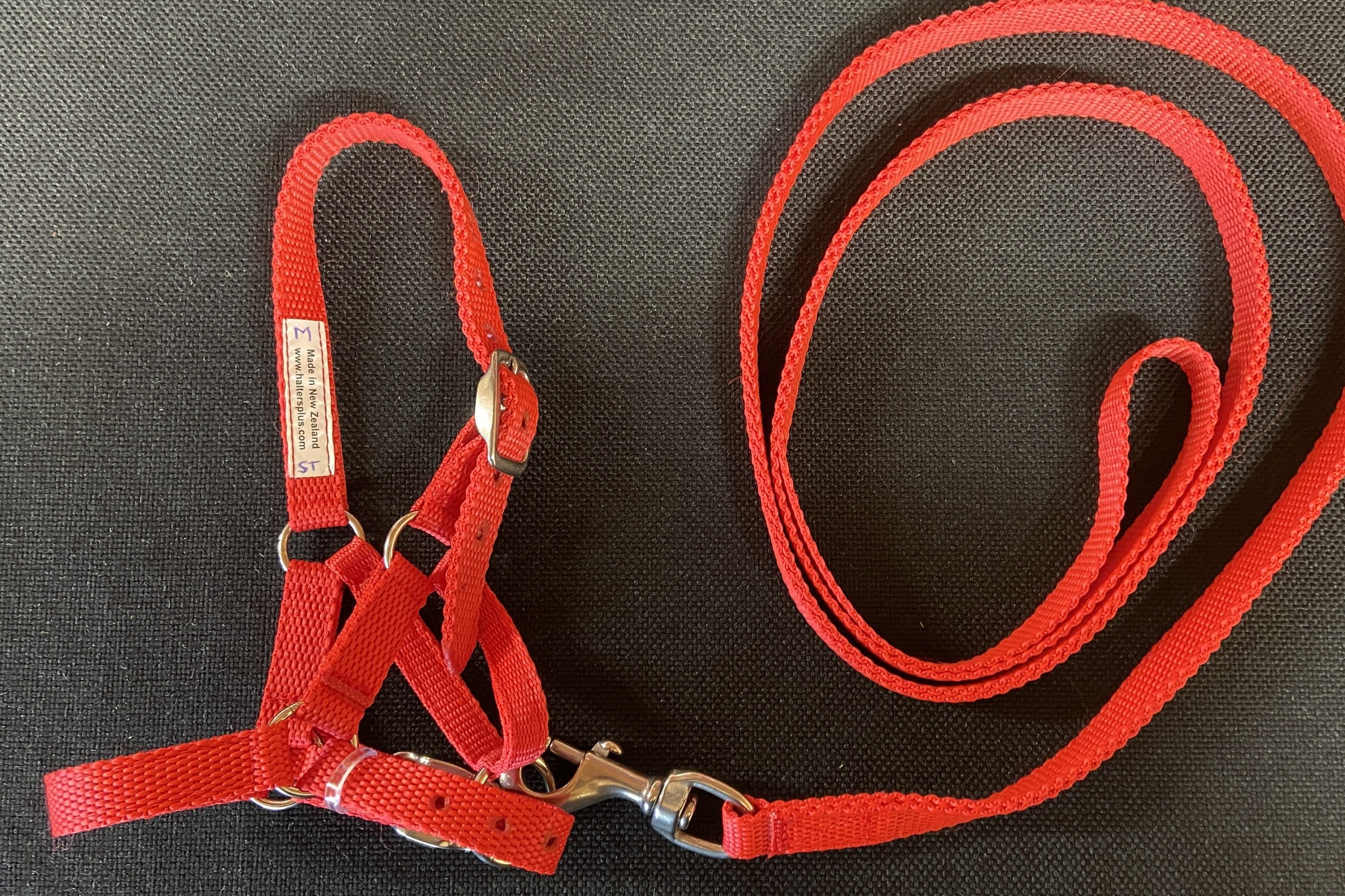 Alpaca Halter and Lead Set with STAINLESS STEEL Fittings - NEW - Animal ...